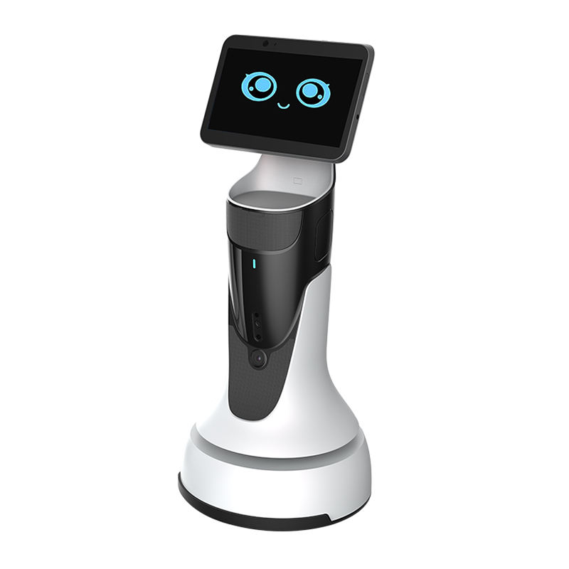 AI-Powered Humanoid Robot 2025 - 24/7 Hotel Lobby Receptionist, Office ...