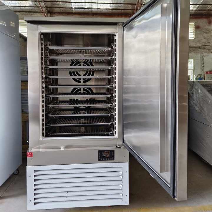 10 Trays Blast Chiller Stainless Steel Blast Freezer for Fish and ...