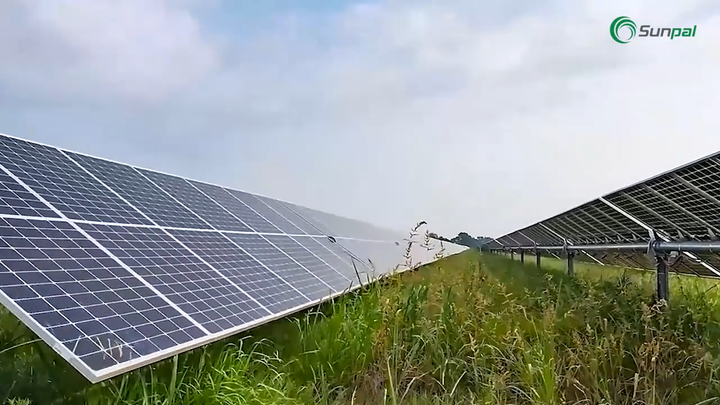 IEC 61215 Sunpal Solar Panels - High Efficiency Monocrystalline