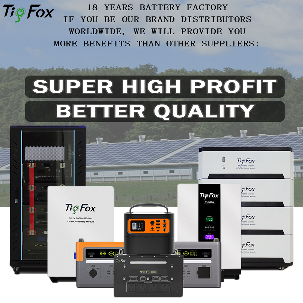 Tigfox 11kw 10240wh DIY All in One Portable Stackable Battery Includes ...