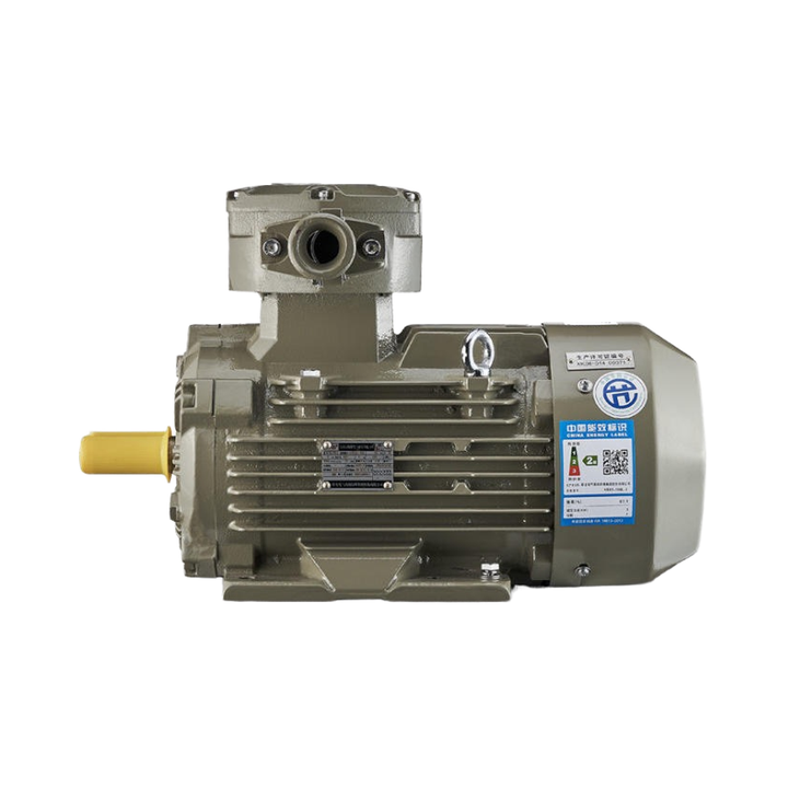 Nanyang Three-Phase Induction Low-Voltage Explosion-Proof Motor Series YBX3 YBX4 YBX5 50Hz ...