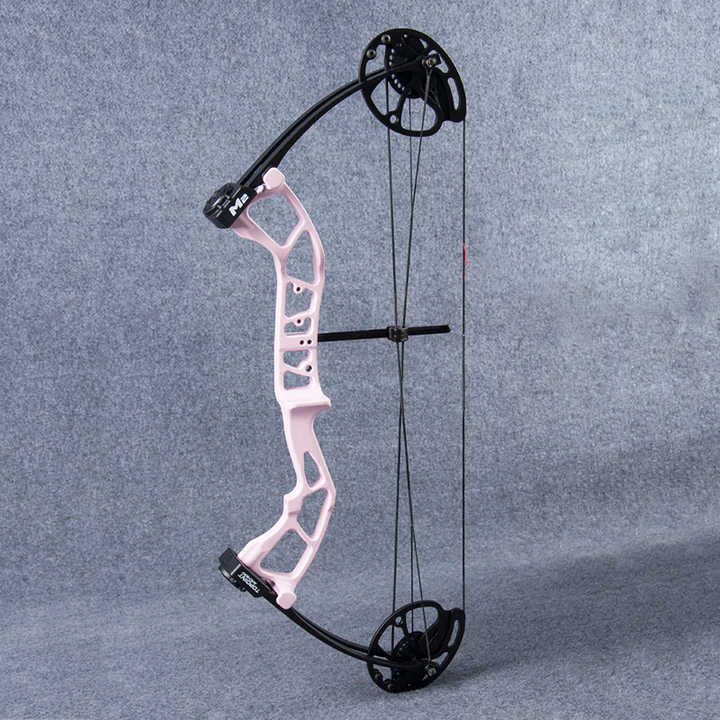 1 PC Archery 30-40lbs Adjustable Draw Weight Compound Bow Professional ...