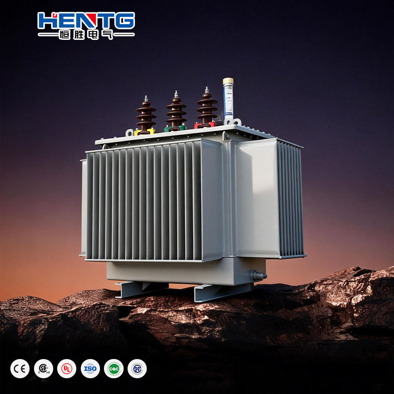Three Phase Oil Immersed MV&HV Transformer Manufacturer S13 160kVA ...