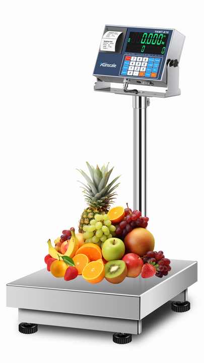 Pro-Grade TCS Model Digital Precision Bench Scale for Chemical Plants ...