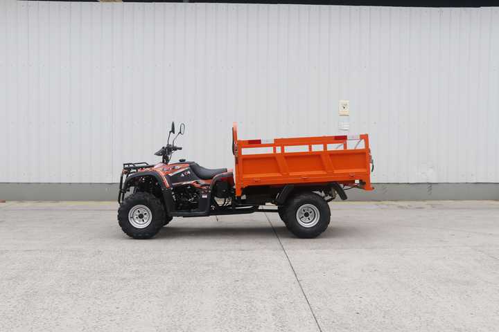 Electric 4x4 Farm Big Quad Bike 250cc 300cc off-Road Motorcycle