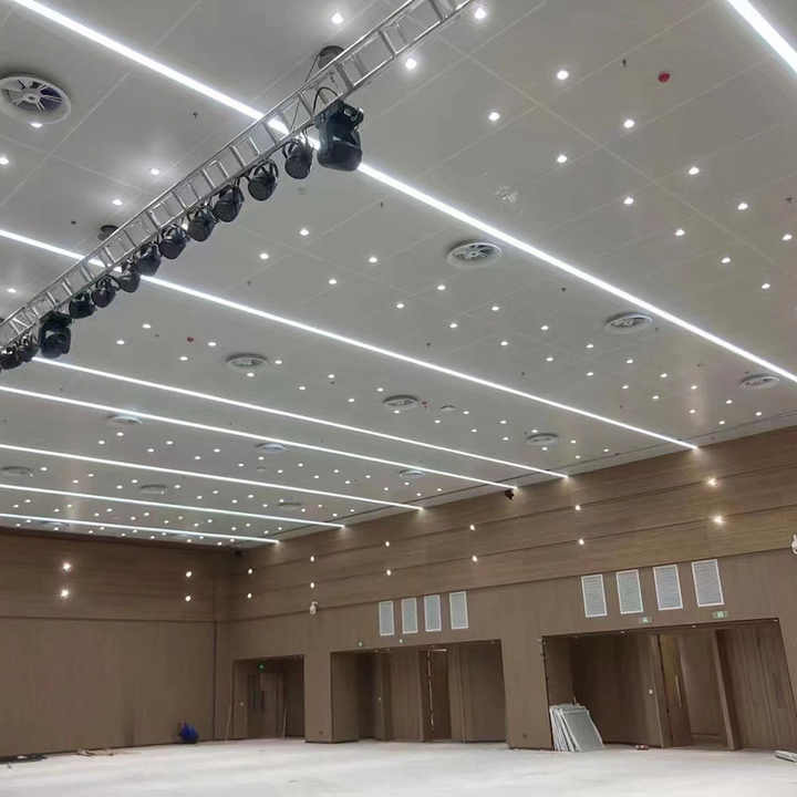 Modern Design Aluminium False Ceiling Panels - Perforated