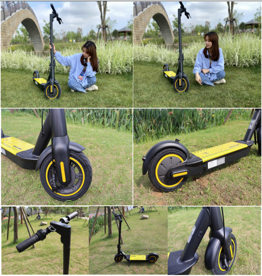 10-Inch 500W Brushless Motor Electric Scooter Turn Signal Widescreen ...