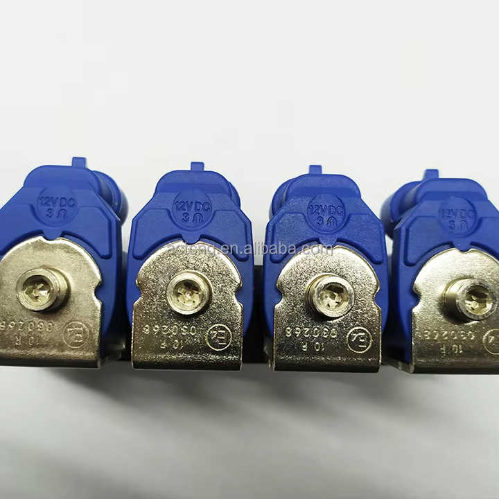 Auto Blue Colour Coil Injector Rail Gnv Gas Cylinder Injector Rail Cng ...