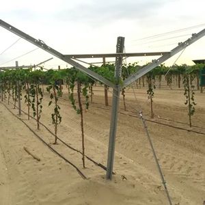 vine open gable trellis system, vine open gable trellis system ...