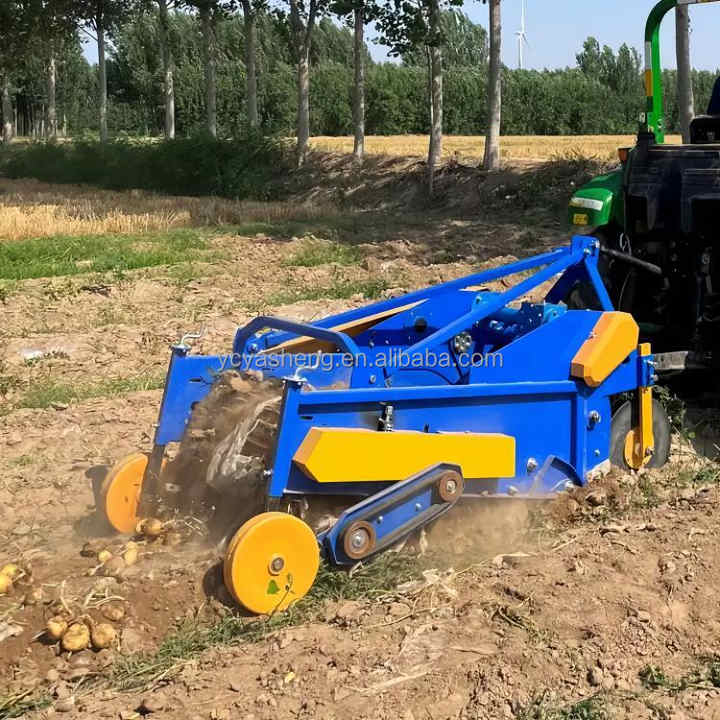 Tractor Implment Pto Driven Potato Garlic Onion Carror Sweet Potato ...