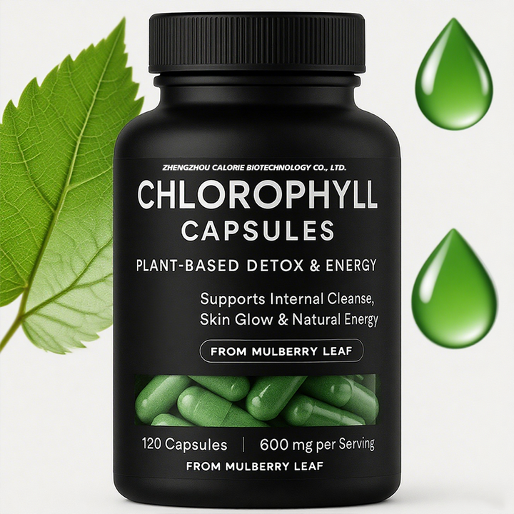 Moringa Leaf Extract Capsules 60 Count 500mg Organic Wellness ...