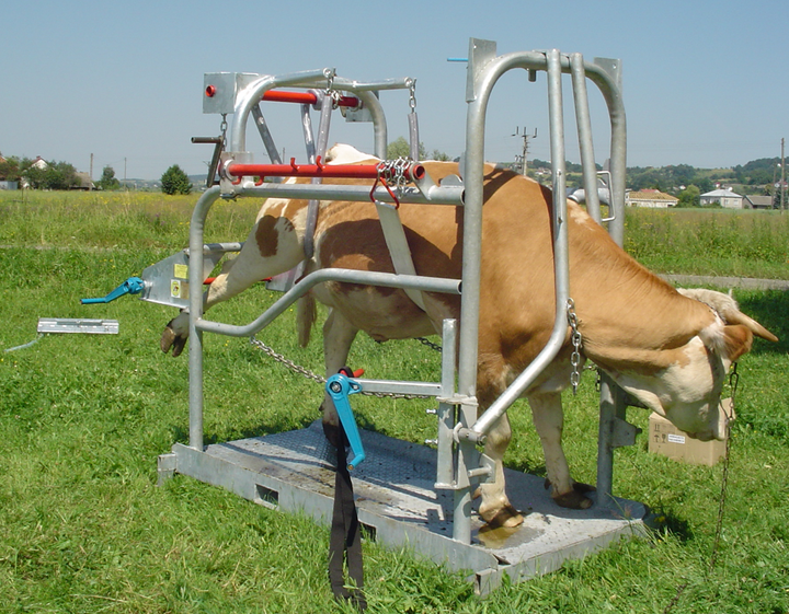 Cattle equipment / Cattle Hoof Trimming / ELECTRIC-HYDRAULIC CATTLE ...
