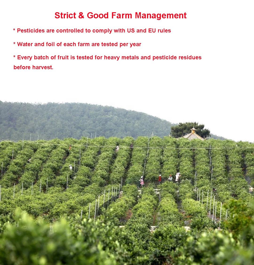 How to Choose the Best Dry Blueberry for Your Needs: A Complete Buying ...