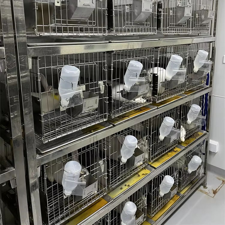 High Quality Lab Cages - Durable Stainless Steel Monkey and Rabbit Cages