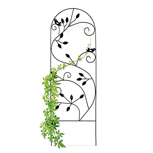 How to Choose the Best Tall Trellis for Your Garden: A Complete Buying ...