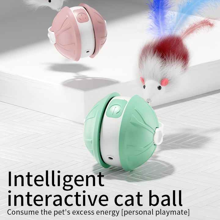 Zmaker Interactive Automatic Pet Ball Toy For Cats - Odm | Wholesale