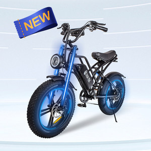 2023 Nieuwe Model 48V 1000W 750W Elektrische Fiets E Bike Dikke Band ...