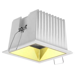 Company Overview - Zhongshan Ledambient Lighting Co., Ltd.