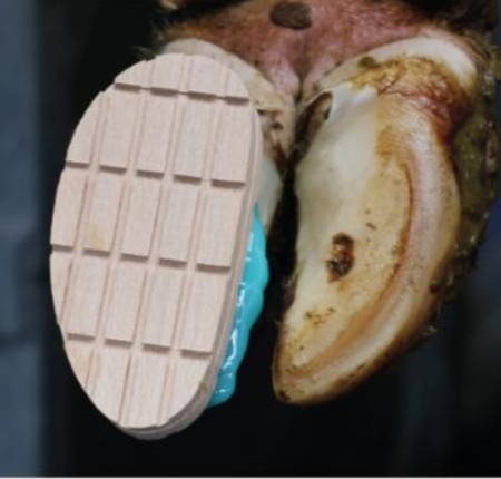 Hoof Block Wood Wedge Shaped of Toe Cow Foot Health| Alibaba.com