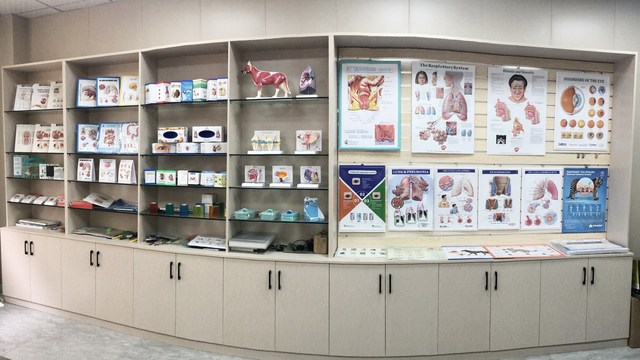 Buy allina health my chart 3D Medical Anatomy Posters | D-Dream Crafts