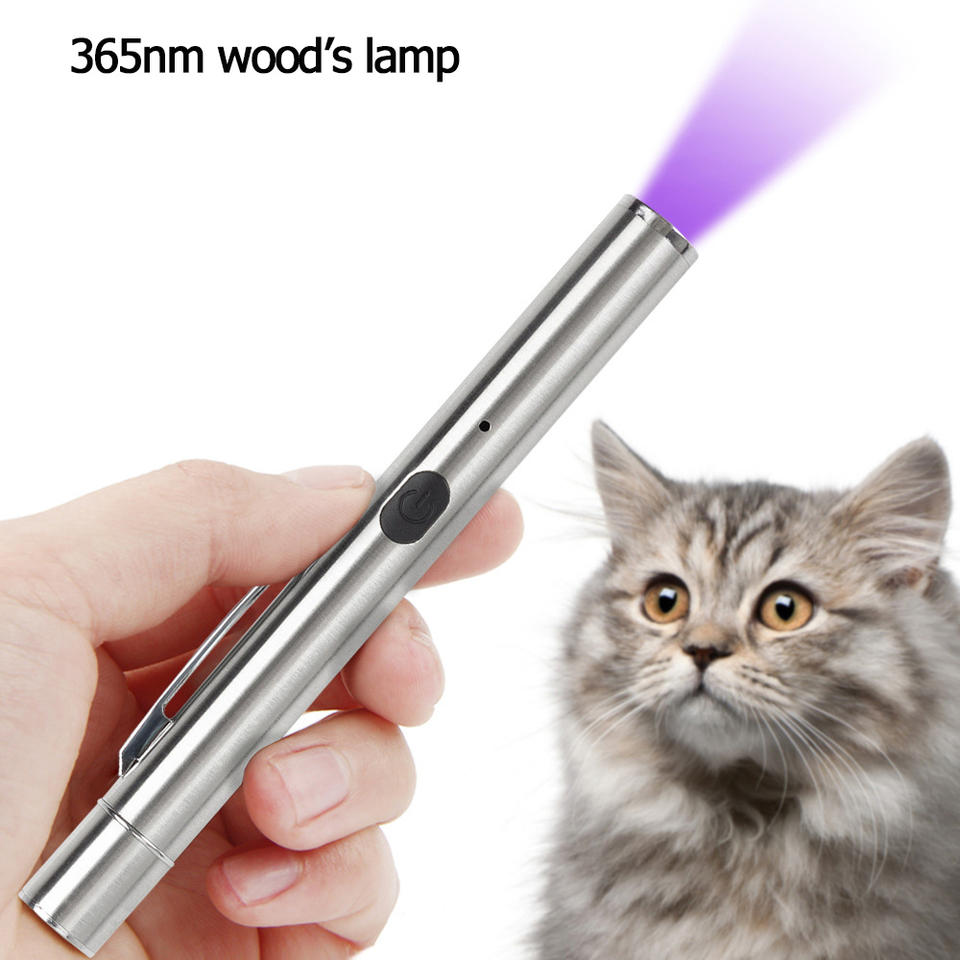 Wood's Lamp Cat Ringworm Detection UV Flashlight - 365nm Laser Light ...