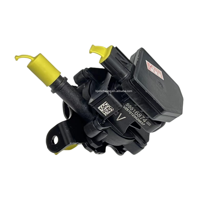 Auto Parts Evaporative Emission Carbon Canister Purging Pump Assembly ...