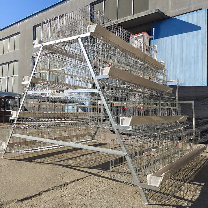 Automatic 1000 Chicken Layer Cage for Poultry Farms Steel Chicken Egg ...