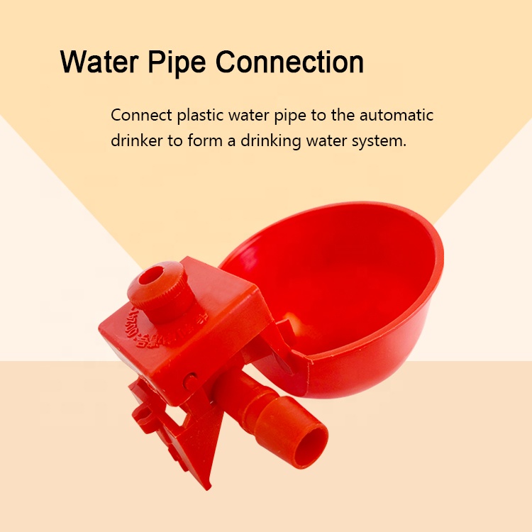 High Quality Pigeon Drinkers - Durable & Efficient Solutions
