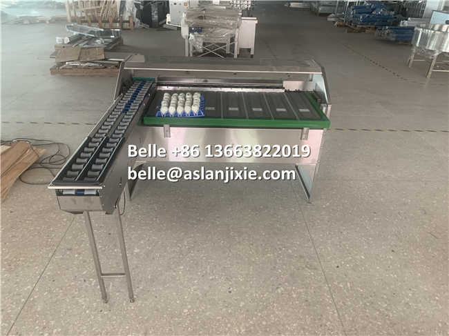 Multifunctional Egg Grading Machine for Efficient Sorting