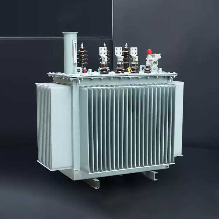 3 Phase Oil Immersed MV&HV Transformer Vendor S11 63kVA 630kVA 1600kVA ...