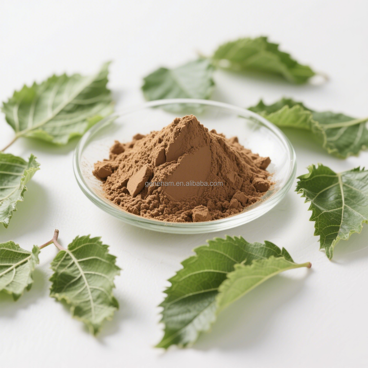 Organic 1kg Minimum Bag Packaging Food Grade Mulberry Leaf Extract ...