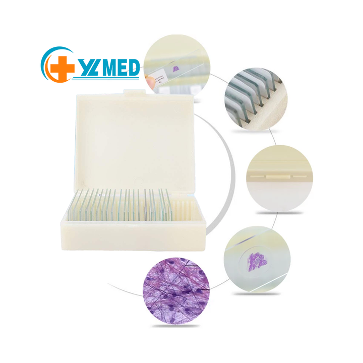 Teaching Resources Mammalian Histology Slides Slides Prepared with a ...