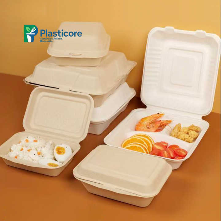 PLASTICORE Hinged Lid Disposable Lunch Box Take-Away Food Container for ...