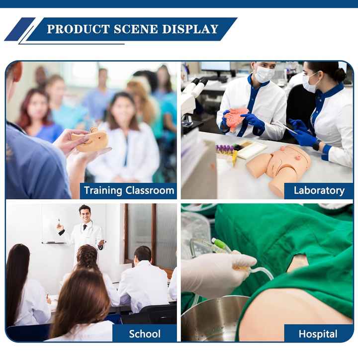 Nursing Practice Urinary Catheter Model PVC Teaching for Students or ...