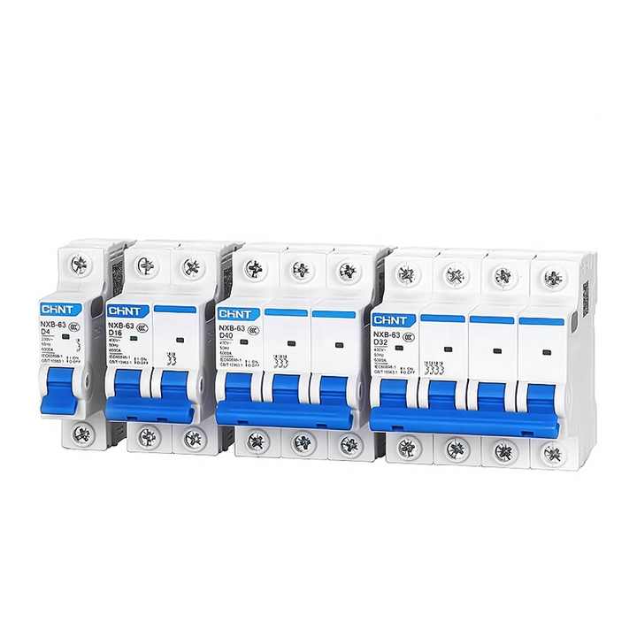 CHINT NXB D Type MCB 1P - Reliable 220V Circuit Breaker