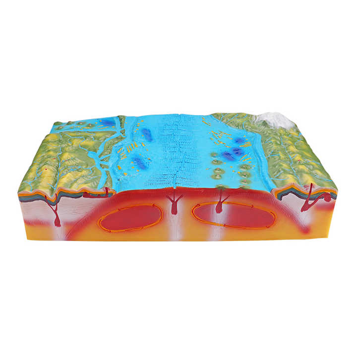 Geographical Plate Tectonics Model for Student Understanding - ODM