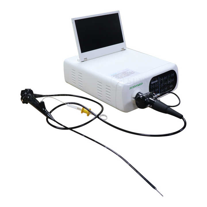 Medical Equipment Endoscopy Machine Camera System Endoscope Horse Dog ...