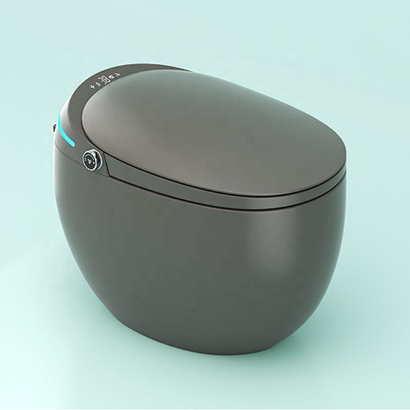 Smart Toilet - Auto Sensor Flush Open Electric Wc Commode
