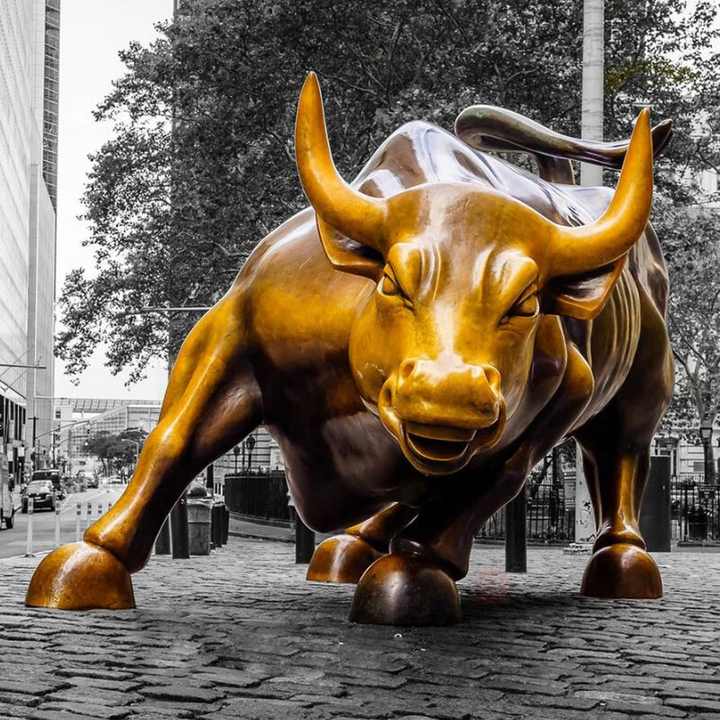 Wall Street Bullen Zeichnung