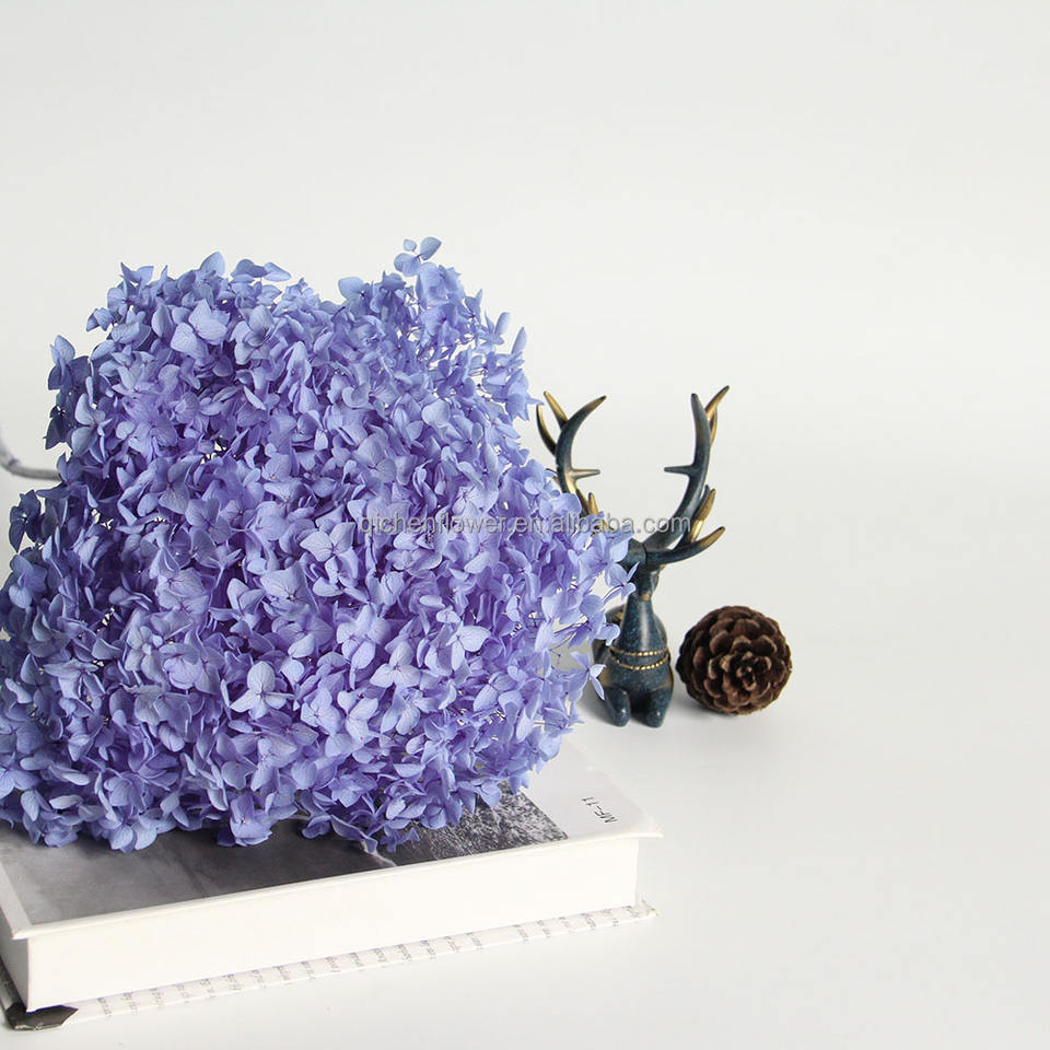 Preserved Anna Hydrangea With Stem| Alibaba.com