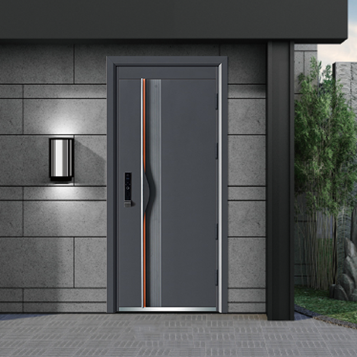American Modern Style Security Doors - Durable & Stylish