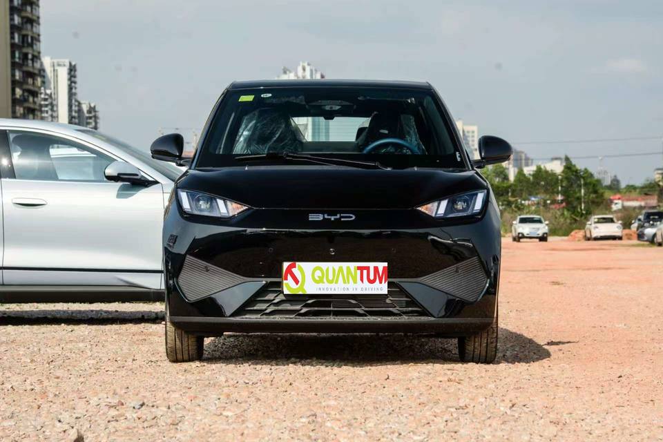 BYD Seagull 2025 Smart Driving Edition 405KM Flying Version - L2 ...