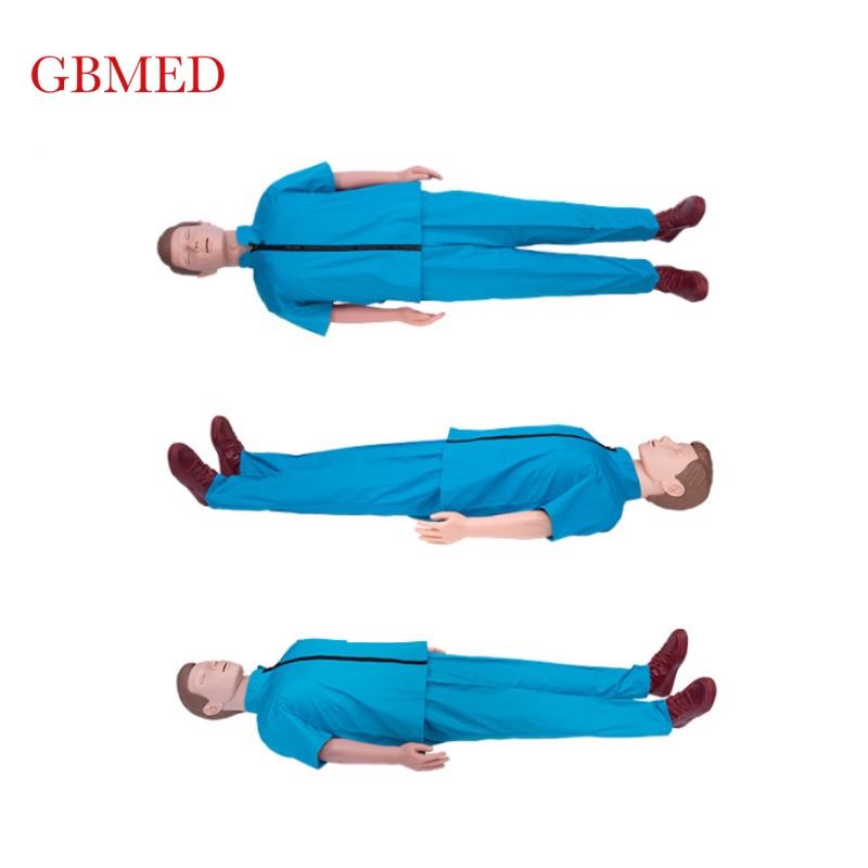 8-Inch Full-Body Smart CPR Manikin with Pupillary Light Reflex Wireless ...