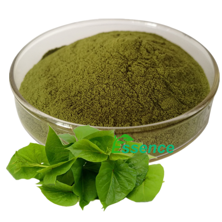Natural Organic Sweet Potato Leaves Powder Pure Ipomoea Batatas Leaf ...