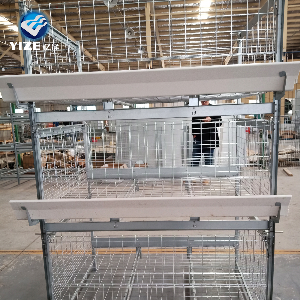 Broiler Cages - Efficient Poultry Raising Solutions
