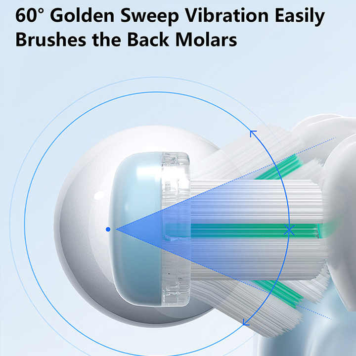 60 Oscillating Rotating Sonic Tooth Brush Deep Cleaning Whitening