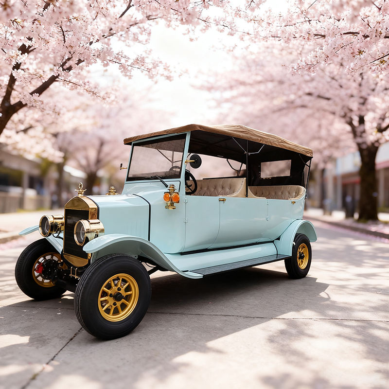 Vintage Electric Golf Cart Model T with 7-8 Seats for Sale ODM