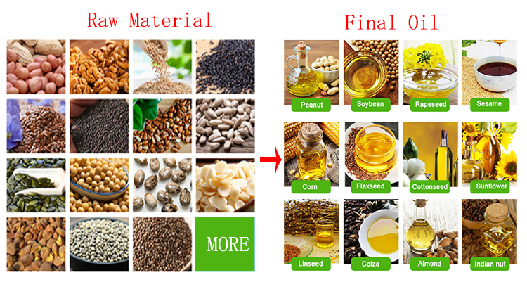 Shop Online Moringa Oil Extraction Machine Customizable & Hydraulic ...