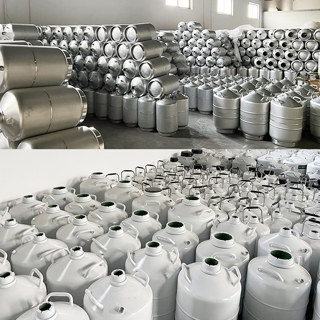 Liquid Nitrogen Dewars - Efficient Storage Solutions