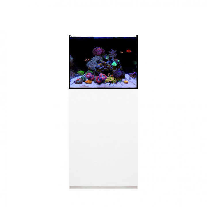 60cm 2ft 60 Gallon Aquarium - Ultra Low Iron Glass Tank